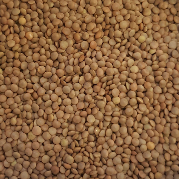 Australian Brown Lentil | Buy Online | Premiumnut.com.au - Premium Nut Co