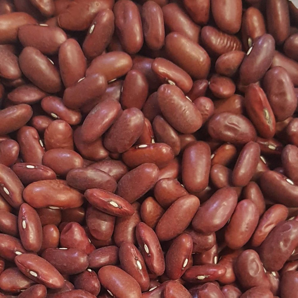 Australian Faba Beans | Buy Online | Premiumnut.com.au - Premium Nut Co