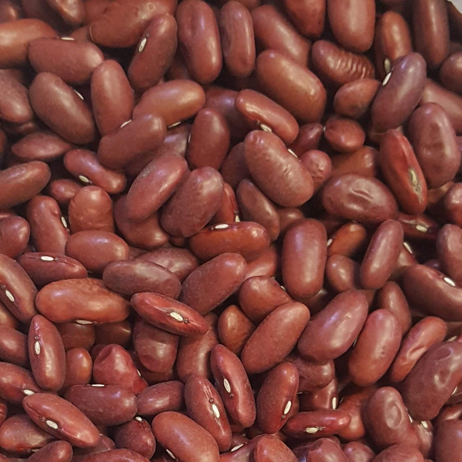 Australian Faba Beans | Buy Online | Premiumnut.com.au - Premium Nut Co