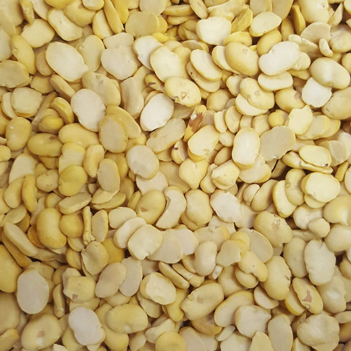 Australian Faba Beans Split | Buy Online | Premiumnut.com.au - Premium ...