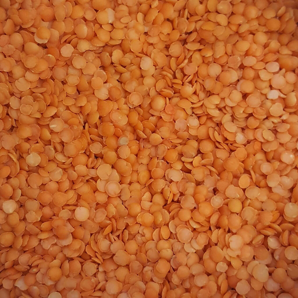 Australian Red Lentils | Buy Online | Premiumnut.com.au - Premium Nut Co