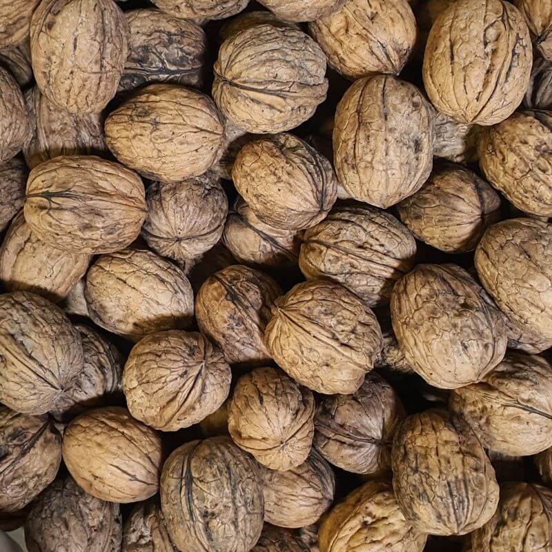 Victorian Walnuts in Shell | Buy Nuts in Shell Online | Premiumnut.com ...